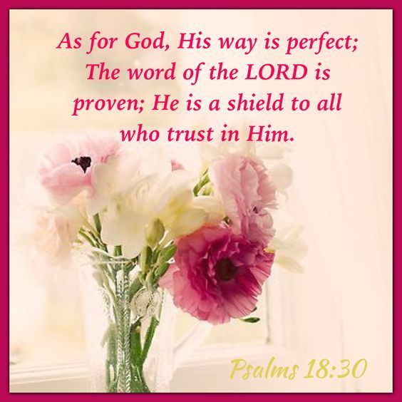 As For God, His Way Is Perfect; The Word Of The Lord Is Proven; He Is A ...