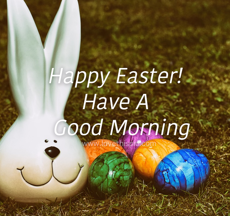 Bunny Face & Eggs - Happy Easter, Have A Good Morning Pictures, Photos ...