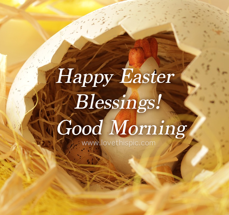 Chicken Figure Inside Egg - Happy Easter, Good Morning Pictures, Photos ...