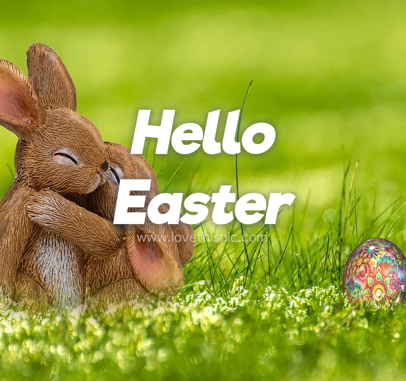 Hugging Bunnies - Hello Easter Pictures, Photos, and Images for ...