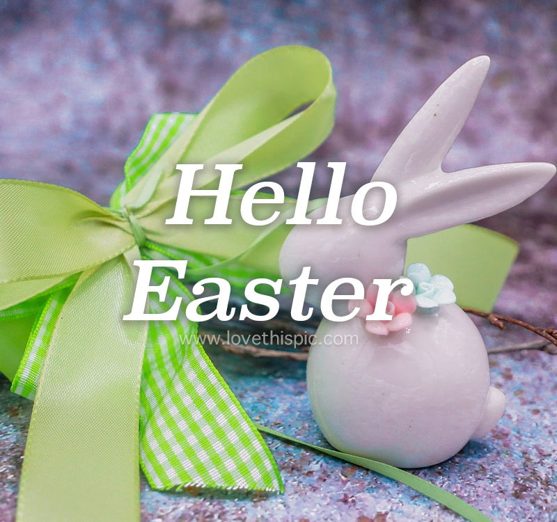 Ribbon Bunny Hello Easter Pictures, Photos, and Images for Facebook ...