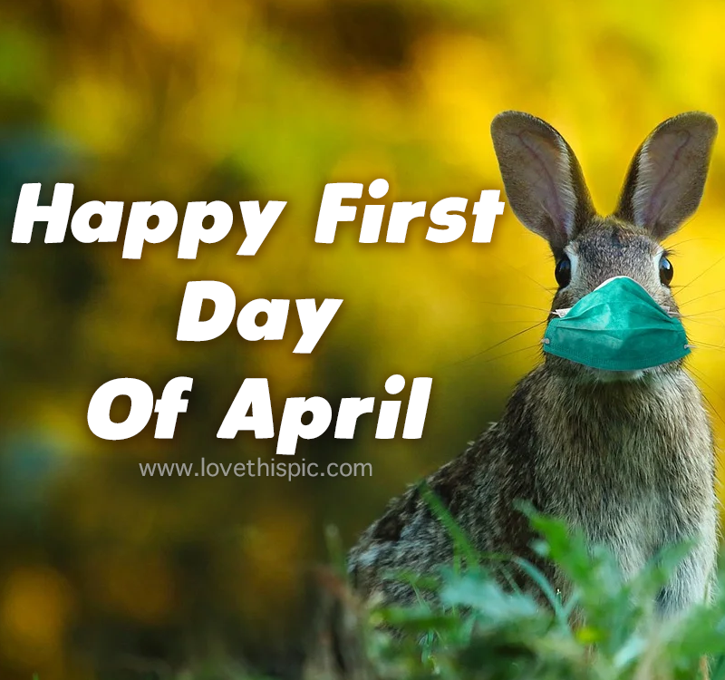 Bunny With Mask - Happy First Day Of April Pictures, Photos, and Images ...