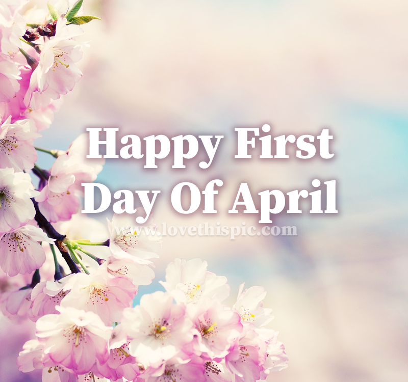 Pink Flower Happy First Day Of April Pictures, Photos, and Images for ...