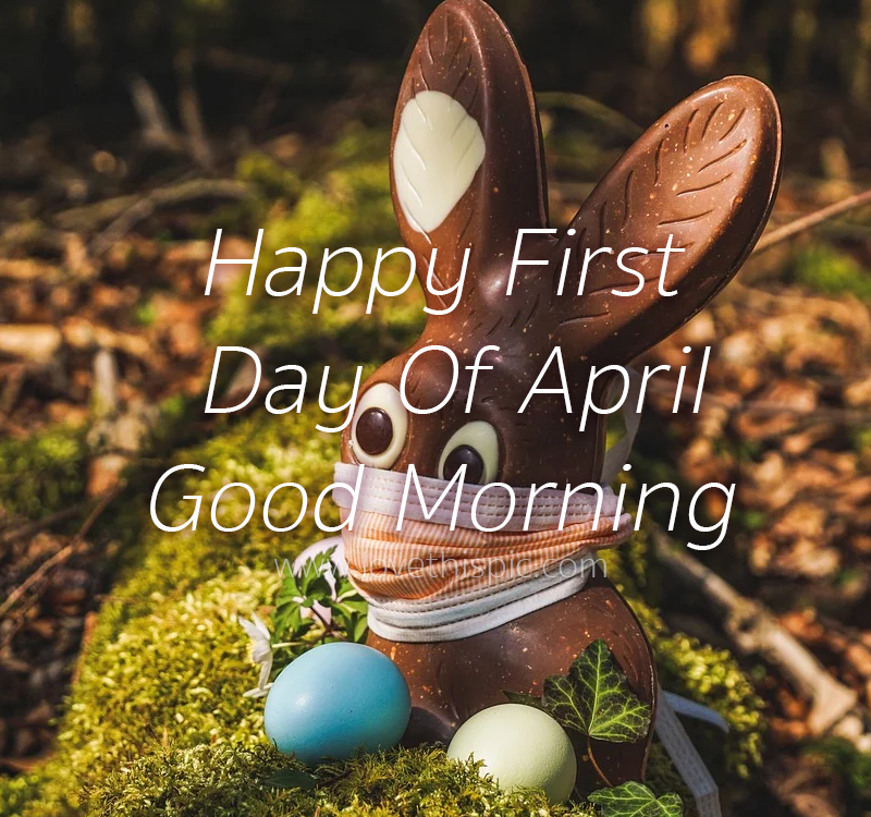 Chocolate Bunny With Mask - First Day Of April, Good Morning Pictures ...