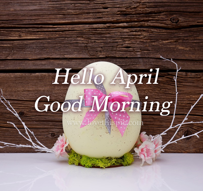 Easter Egg With Bow - Hello April, Good Morning Pictures, Photos, and ...