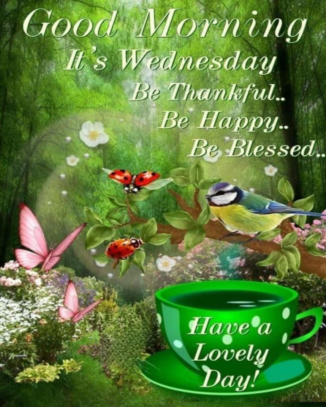 It's Wednesday, Be Thankful...Be Happy...Be Blessed Pictures, Photos ...
