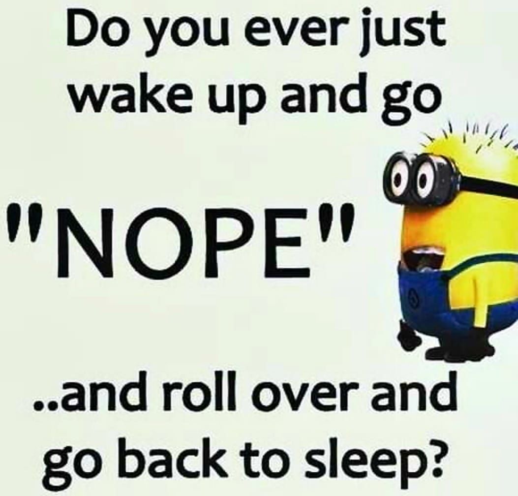 Do You Ever Just Wake Up And Go "Nope" And Roll Over And Go Back To ...