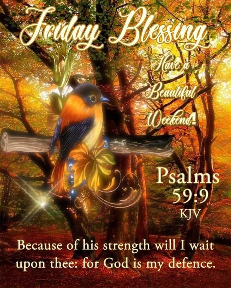 Because Of His Strength Will I Wait Upon Thee: For God Is My Defence ...