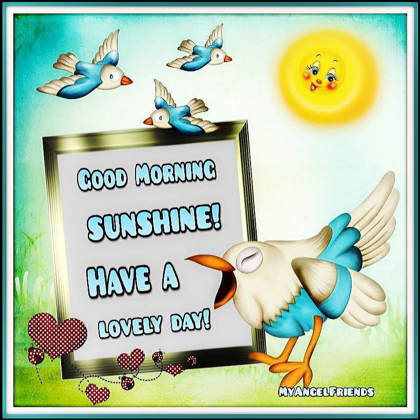 Bird Flock Good Morning Sunshine Pictures, Photos, and Images for ...