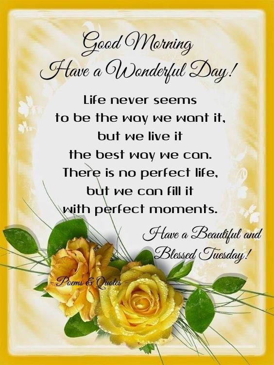 There Is No Perfect Life But We Can Fill It With Perfect Moments ...