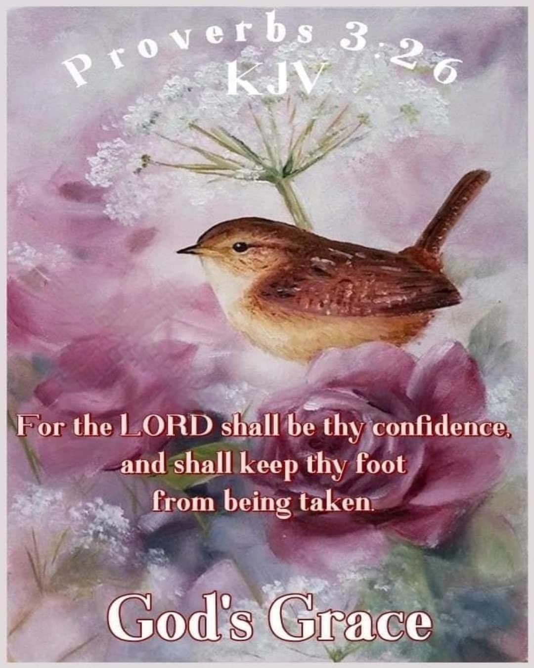 God's Grace Pictures, Photos, and Images for Facebook, Tumblr ...