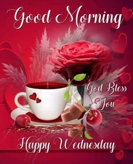 Pink Rose Good Morning Happy Wednesday Pictures, Photos, and Images for ...