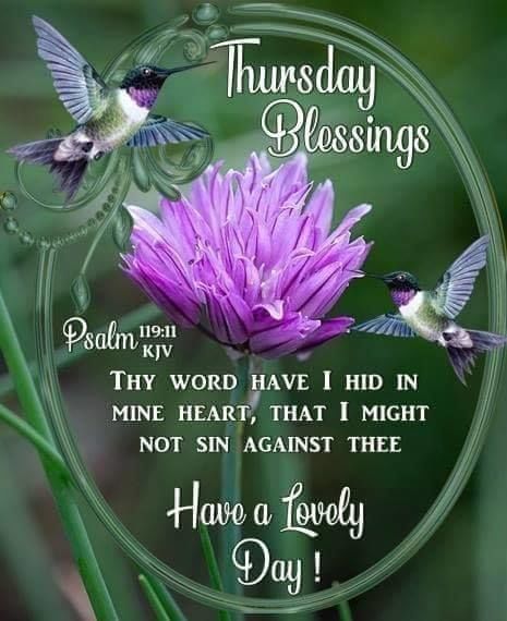Thursday Blessing Hummingbirds Pictures, Photos, and Images for ...