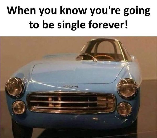 When You Know You're Going To Be Single Forever Pictures, Photos, and ...