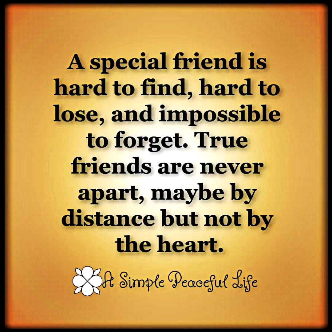 A Special Friend Is Hard To Find, Hard To Lose, And Impossible To ...