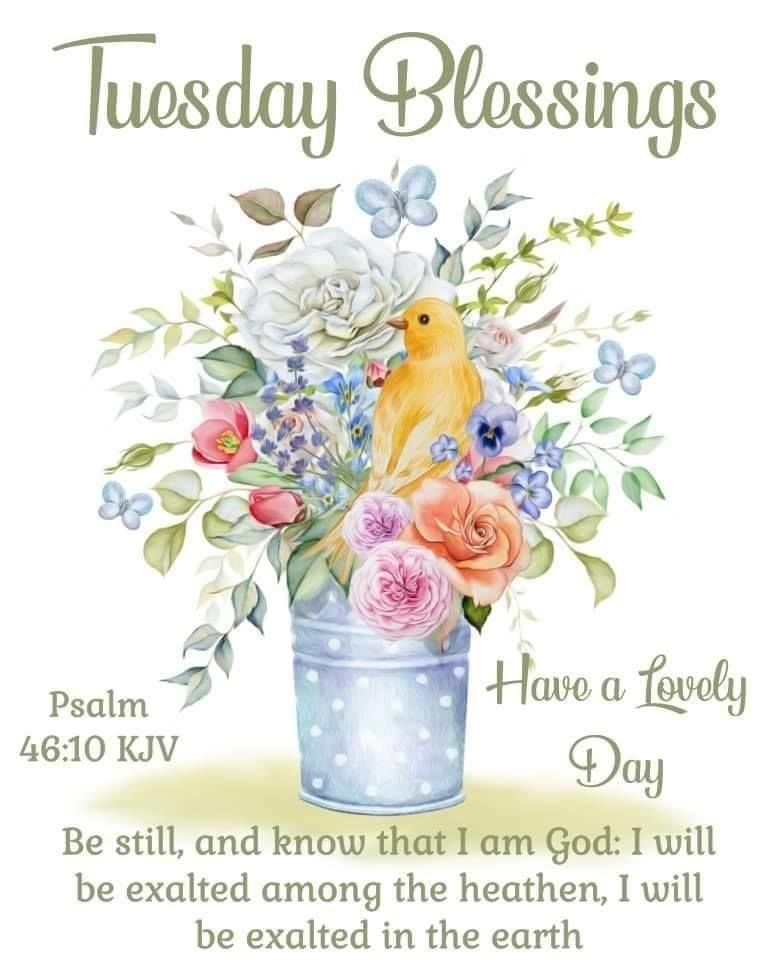 Pail With Bird And Flowers - Tuesday Blessings Pictures, Photos, and ...