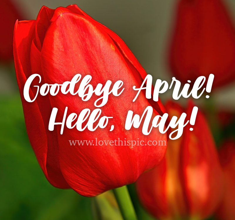 Goodbye April! Hello May! Pictures, Photos, and Images for Facebook ...