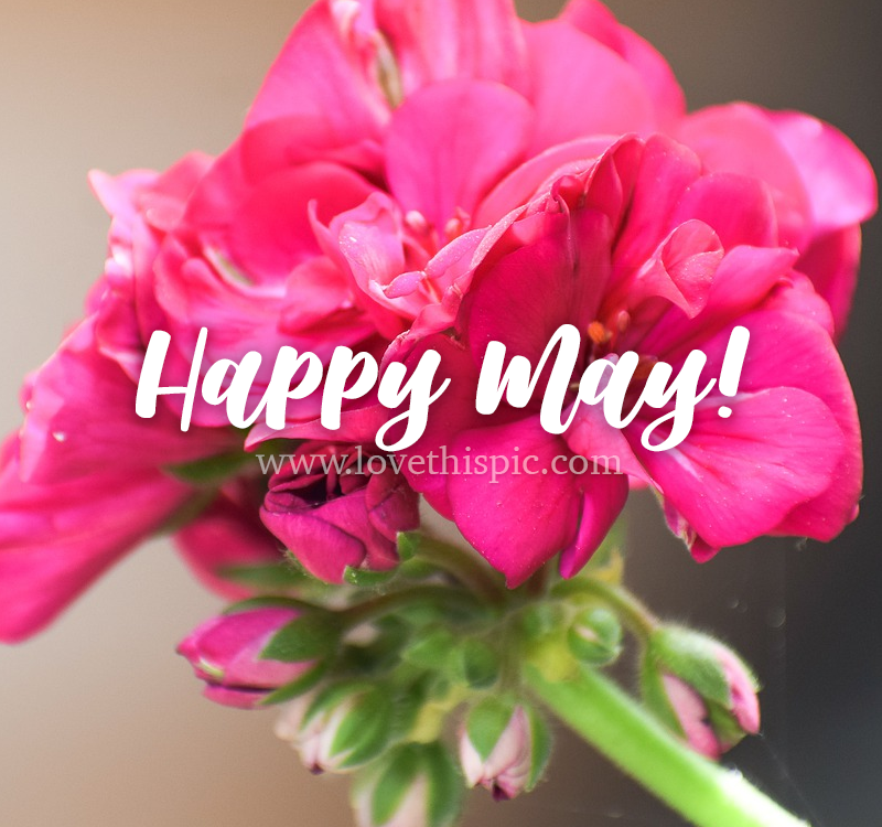 Happy May! Pictures, Photos, and Images for Facebook, Tumblr, Pinterest ...