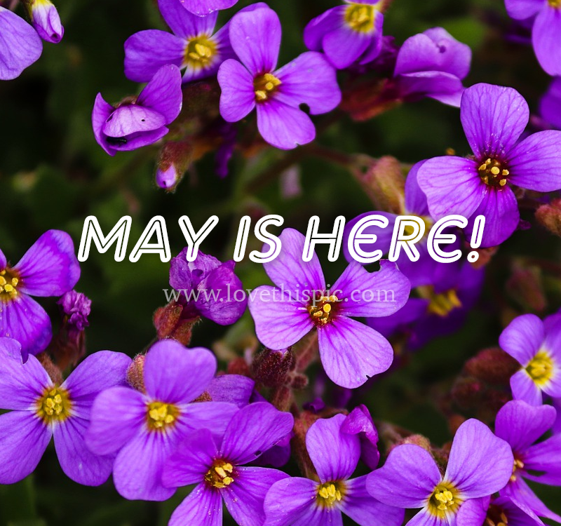 May Is Here! Pictures, Photos, and Images for Facebook, Tumblr ...