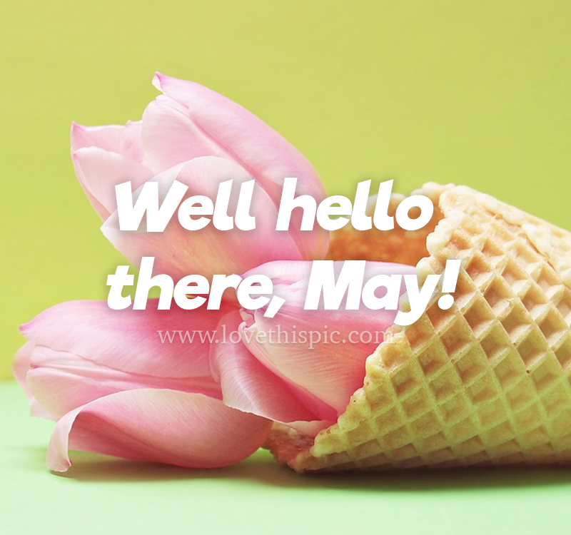 Well Hello There May! Pictures, Photos, and Images for Facebook, Tumblr ...