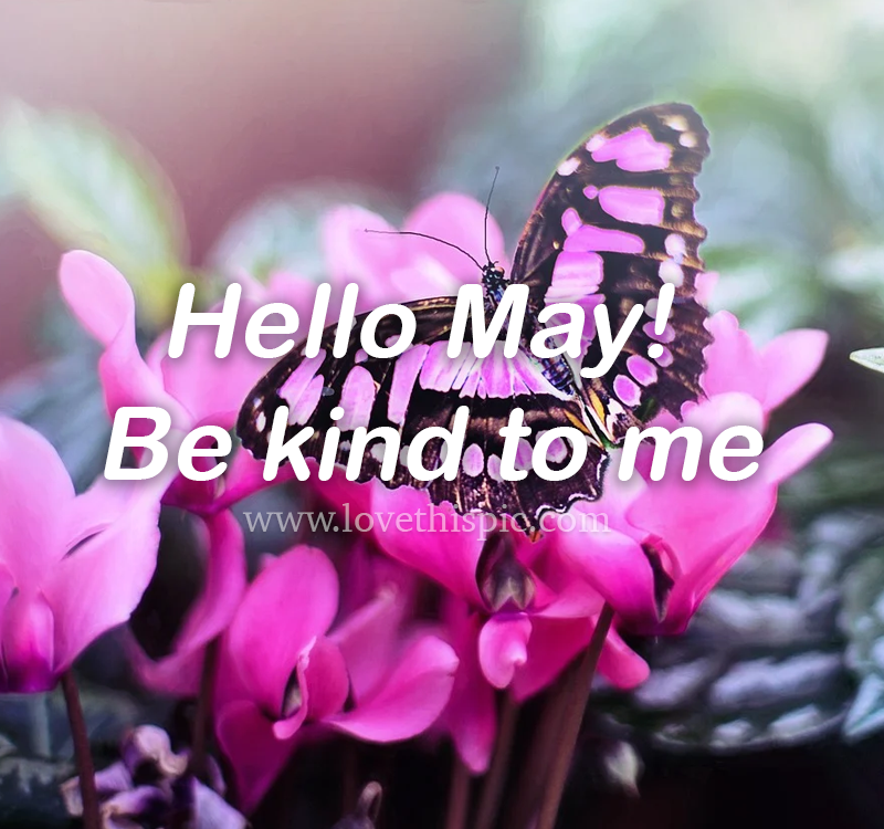 Hello May! Be Kind To Me Pictures, Photos, and Images for Facebook ...