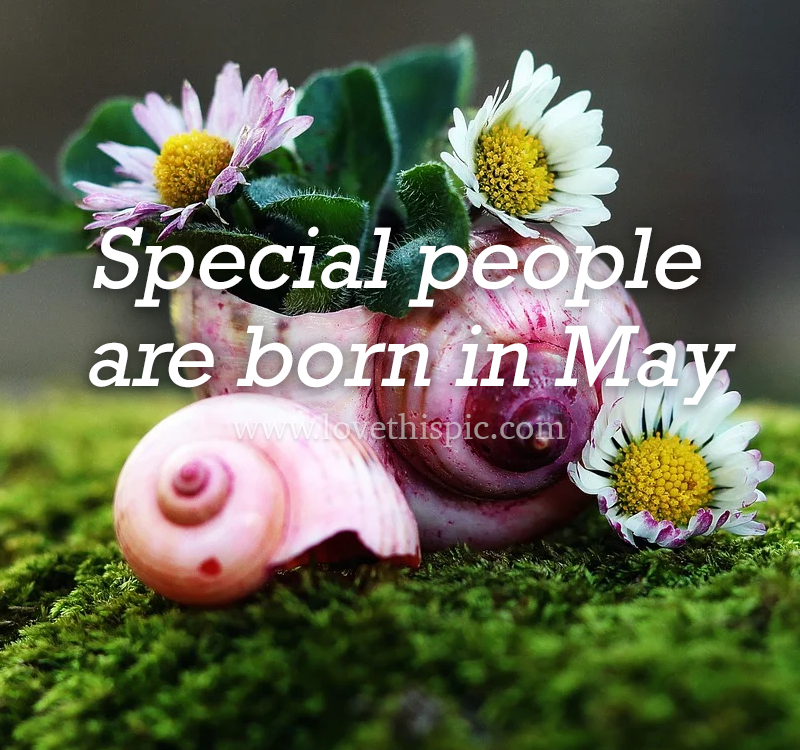 Special People Are Born In May Pictures, Photos, and Images for ...