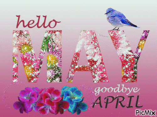 Birdy Hello May Goodbye April Pictures, Photos, and Images for Facebook ...