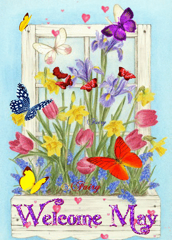 Welcome May Butterflies & Flowers Pictures, Photos, and Images for ...