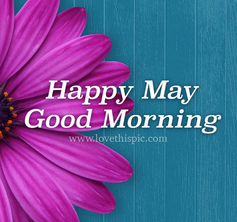 Happy May Good Morning Pictures, Photos, and Images for Facebook ...