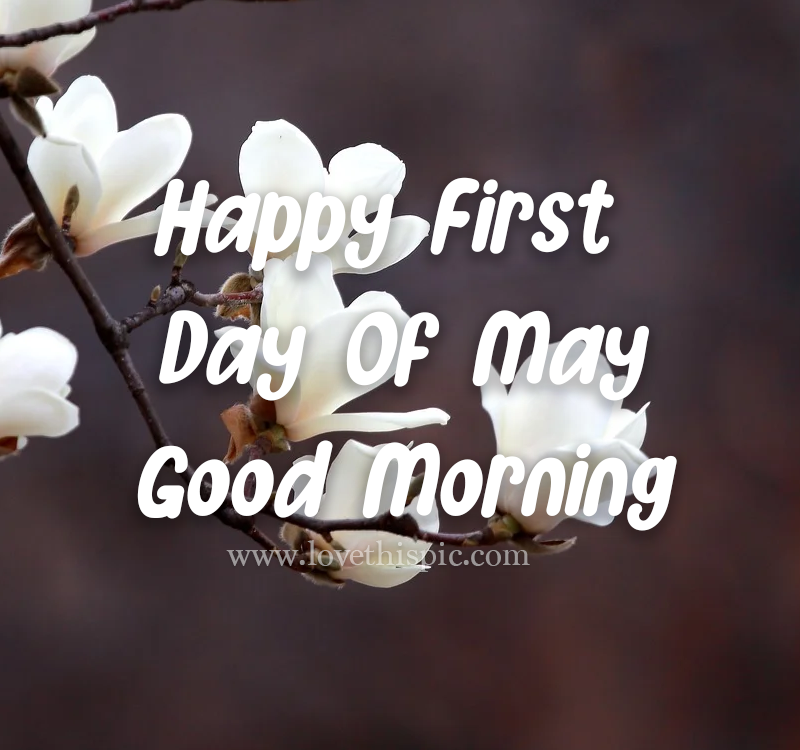 White Magnolias - Happy First Day Of May, Good Morning Pictures, Photos ...