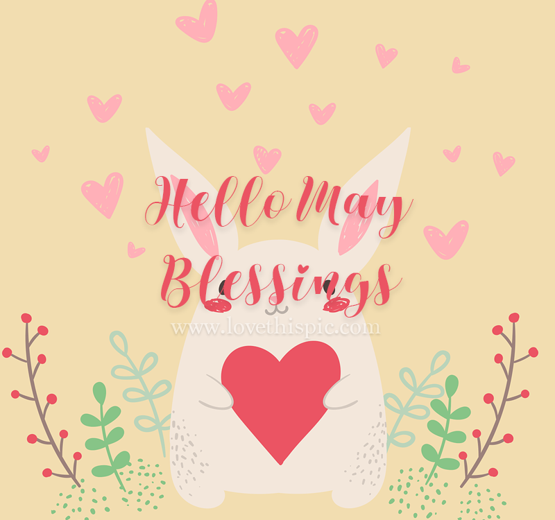 Rabbit Hello May Blessings Pictures, Photos, and Images for Facebook ...