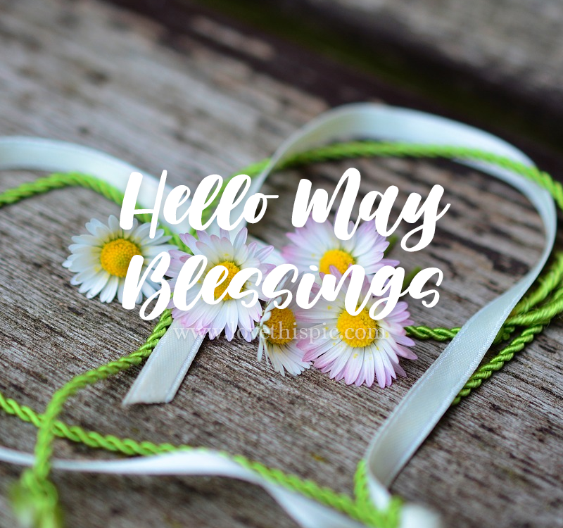 Daisy Heart Hello May Blessings Pictures, Photos, and Images for ...