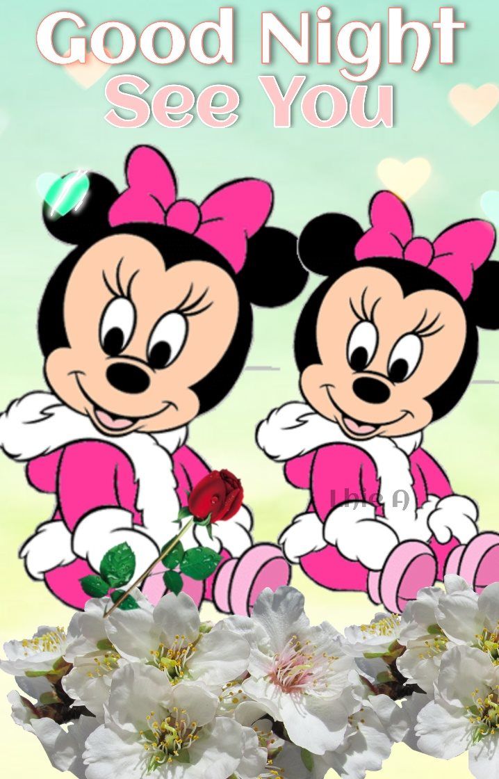 Good Night, See You! Pictures, Photos, and Images for Facebook, Tumblr ...