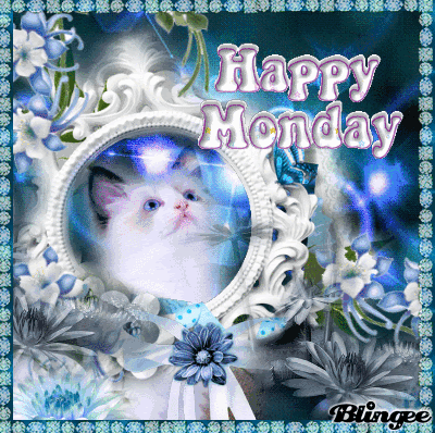 Happy Monday Cat Pictures, Photos, and Images for Facebook, Tumblr ...