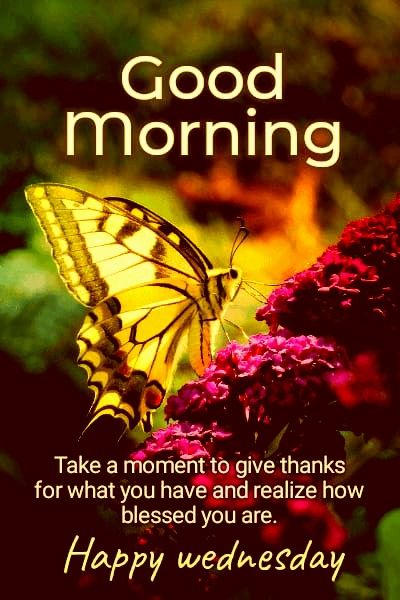 Take A Moment To Give Thanks For What You Have And Realize How Blessed ...