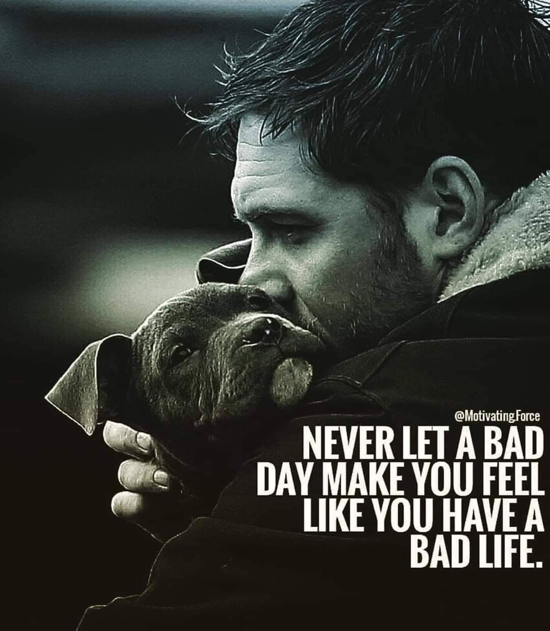Never Let A Bad Day Make You Feel Like You Have A Bad Life Pictures ...