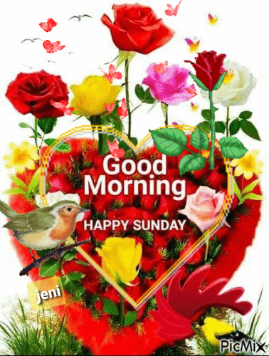 Good Morning Happy Sunday Pictures, Photos, and Images for Facebook ...