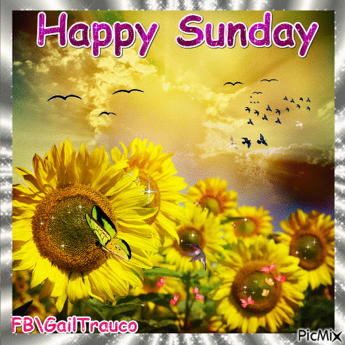 Sunflower Happy Sunday Gif Pictures, Photos, and Images for Facebook ...