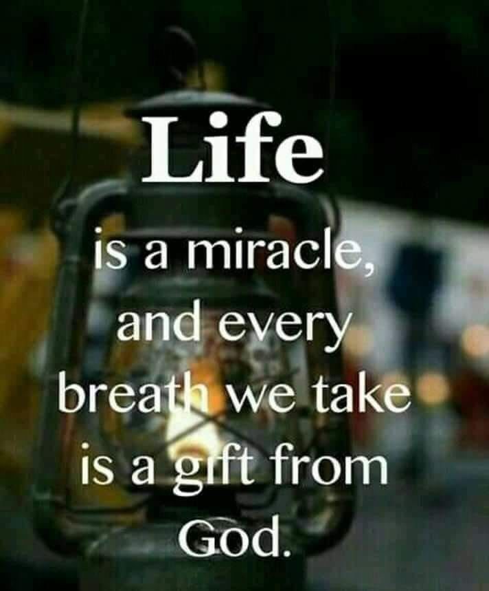 Life Is A Miracle Pictures, Photos, and Images for Facebook, Tumblr ...