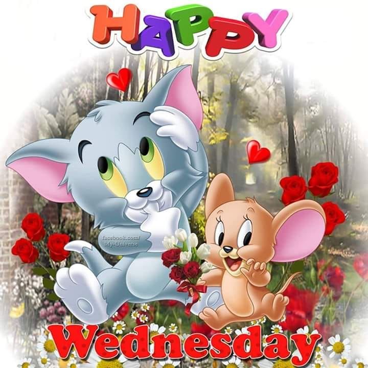 Baby Tom & Jerry Happy Wednesday Pictures, Photos, and Images for ...