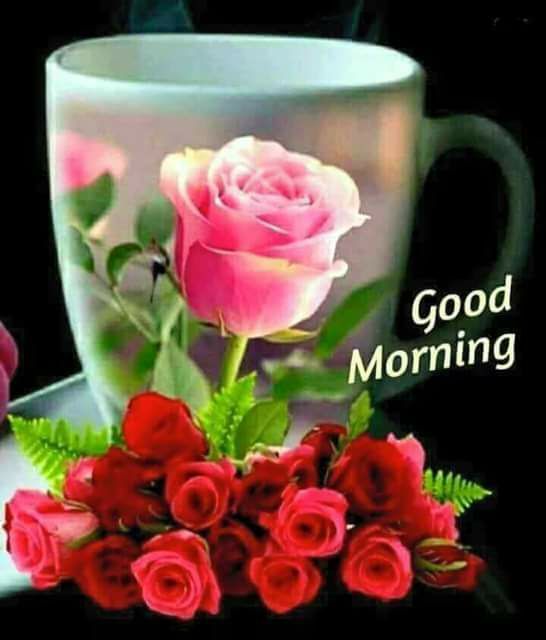 Good Morning Red Roses With Quotes