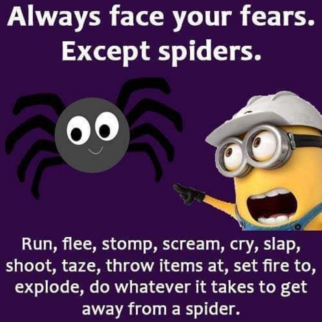 Always Face Your Fears. Except Spiders Pictures, Photos, and Images for ...