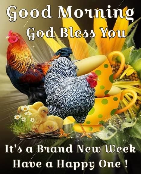 It's A Brand New Week, Have A Happy One! Pictures, Photos, and Images ...