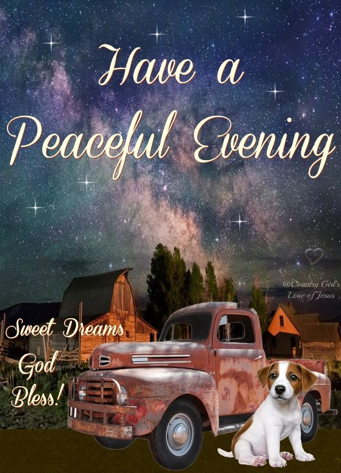 Peaceful Evening Dog Quote Pictures, Photos, and Images for Facebook ...