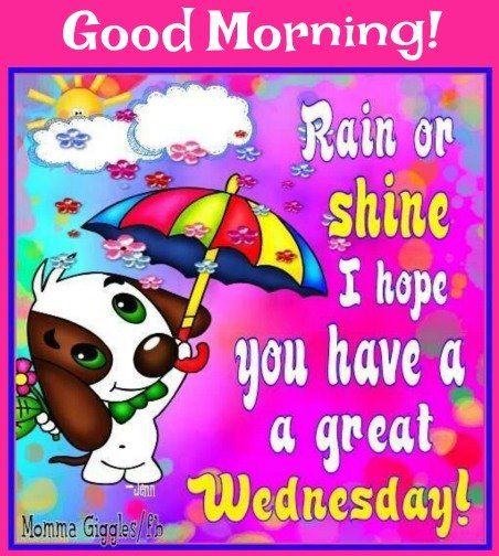 Rain Or Shine, I Hope You Have A Great Wednesday! Good Morning Pictures ...