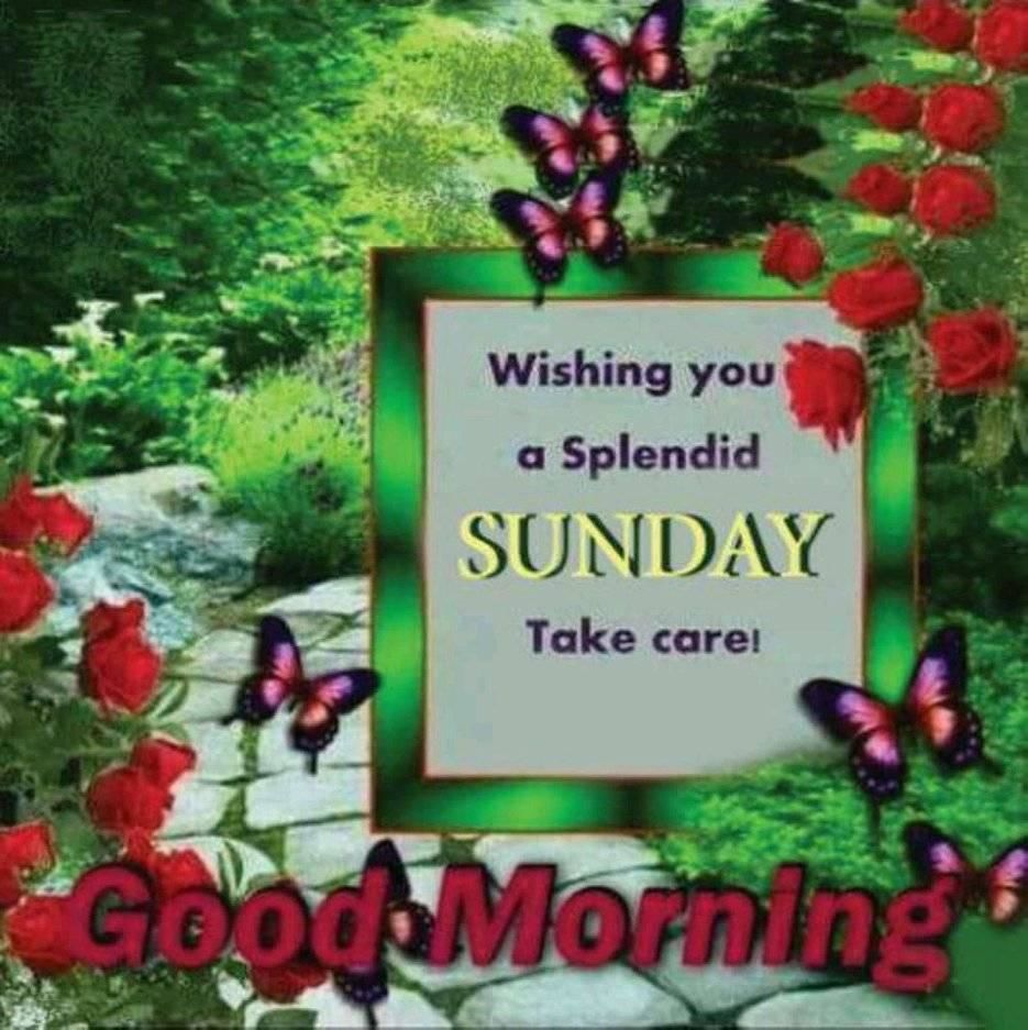 Splendid Sunday Pictures, Photos, and Images for Facebook, Tumblr ...