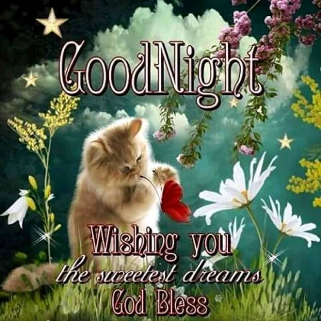 Wishing You The Sweetest Dreams, God Bless Pictures, Photos, and Images ...