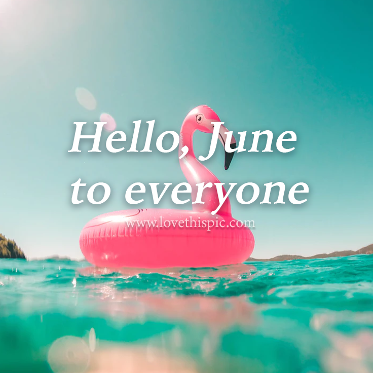 Flamingo Hello June To Everyone Quote Pictures, Photos, and Images for ...