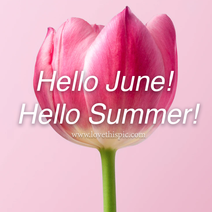 Pink Flower Photo - Hello June! Hello Summer Pictures, Photos, and ...