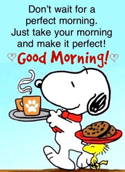 Don't Wait For A Perfect Morning. Just Take Your Morning And Make It ...